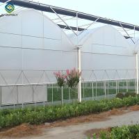 China Customizable Multi Span Greenhouse For Tomato Plants Growing for sale