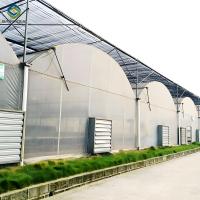 China Agricultural Multi Span Greenhouse Strong Structure For Tomato Planting for sale