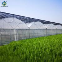 China High Quality Morden Multi-span Plastic Film Greenhouse Frame Structure For Commercial Agriculture for sale