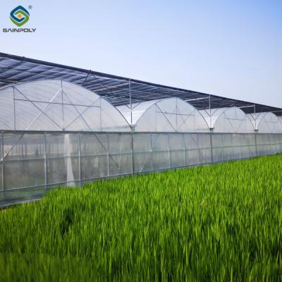 China Heat Resisting Morden Multi Span Greenhouse For Commercial Agriculture for sale