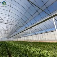 China Sainpoly Large Commercial Greenhouse With Hydroponic Growing System for sale