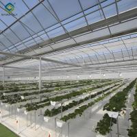 China Commercial Agriculture Multi Span Poly Film Greenhouse Transparent Wind Resistance for sale