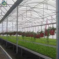 China Agricultural Multi Span Greenhouse Strong Structure For Tomato Planting for sale