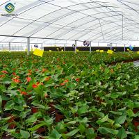 China Galvanized Steel Frame Greenhouse multi span greenhouse Film Covering Space Efficient for sale
