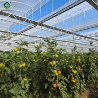 China Commercial Agriculture Multi Span Poly Film Greenhouse Transparent Wind Resistance for sale