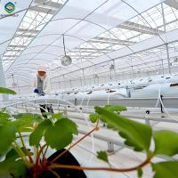 China Strawberry Growth Plastic Film Greenhouse With Hydroponic Growing System for sale