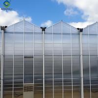 China Multi Wall Polycarbonate Gothic Style Greenhouse With Hollow Sheet for sale