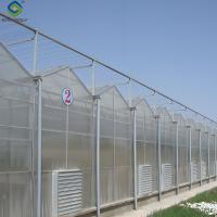 China Strong Structure Galvanized Venlo Type Greenhouse Commerical Green House for sale
