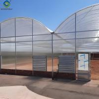 China Large Multi Span Hydroponic PC Sheet Greenhouse Snow Resistance Sturdy Structure for sale