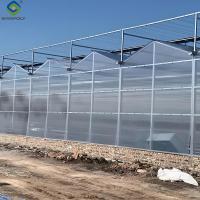 China Tropical Multispan Agriculture Greenhouses Industrial Victorian Greenhouse for sale