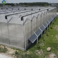 China Venlo Style Polycarbonate Farming Green House Customizable Size for sale