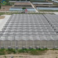 China Automated Ventilation Venlo Type Greenhouse Polycarbonate Green House Energy Efficient for sale