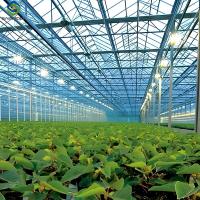 China Strong Structure Galvanized Venlo Type Greenhouse Commerical Green House for sale