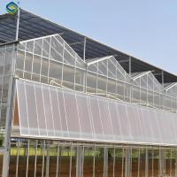 China Intelligent Venlo Glass Greenhouse For Tomato Strawberry Growing Turnkey Project for sale
