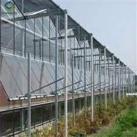 China Hydroponic Venlo PC Polycarbonate Solar Glass Greenhouse Customizable for sale