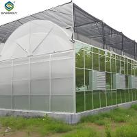 China Large Multi Span Hydroponic PC Sheet Greenhouse Snow Resistance Sturdy Structure for sale