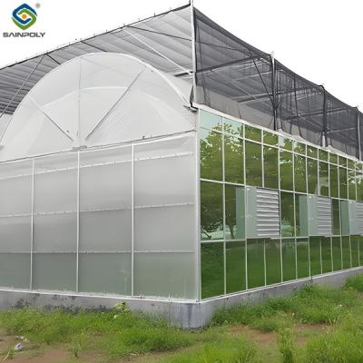 China Large Multi Span Hydroponic PC Sheet Greenhouse Snow Resistance Sturdy Structure for sale