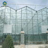 China Versatile Venlo Style Greenhouse Featuring Energy Insulation and Automated Climate Regulation for Year Round Cultivation for sale