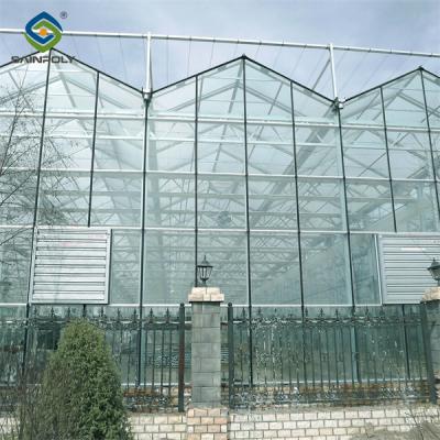 China Venlo Greenhouse Commercial Polycarbonate Glass Greenhouse For Seeds Vegetables Hydroponic Tomato for sale