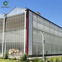 China Versatile Venlo Style Greenhouse Featuring Energy Insulation and Automated Climate Regulation for Year Round Cultivation for sale