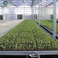 China Versatile Venlo Style Greenhouse Featuring Energy Insulation and Automated Climate Regulation for Year Round Cultivation for sale