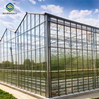 China Custom Dutch Venlo Greenhouse Modern Farms Greenhouse With Intelligent Control System for sale
