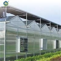 China Custom Dutch Venlo Greenhouse Modern Farms Greenhouse With Intelligent Control System for sale