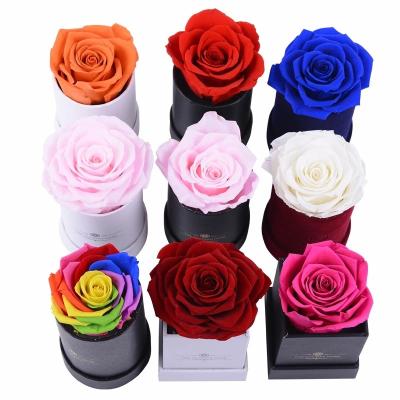 China Manufacturer Supplier Real Preserved Rose In Gift Box Single Rose Box Flower for sale