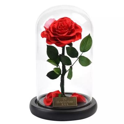 China Never Withered Flowers preserved roses in glass dome Fresh flower rose Preserved roses for sale