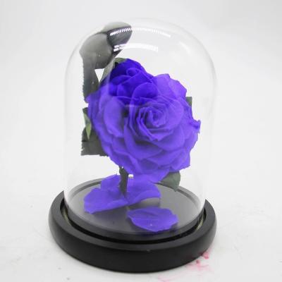 China Real Preserved Forever Rose, Eternal Rose, Galaxy Rose, Preserved Flowers  Flower Crafts Preserved roses for sale