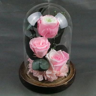 China Beautiful Preserved Rose in Glass Dome enchanted roses arrangement for lover for sale