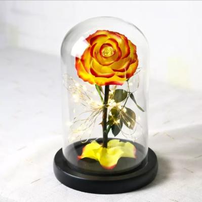China 24k gold rose galaxy rose in forbidden glass Preserved Flowers Flower Crafts Preserved roses for sale