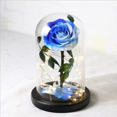 China Beauty and the beast preserved rose in glass real rose preserved for sale