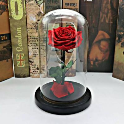 China Beautiful Rose Flowers Everlasting Rose Preserved Flower Eternal Rose in Glass for sale