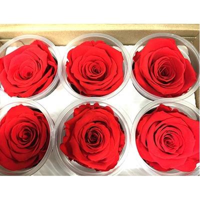 China Ecuador preserved fresh roses long lasting high end rose buds for flower box gift for sale