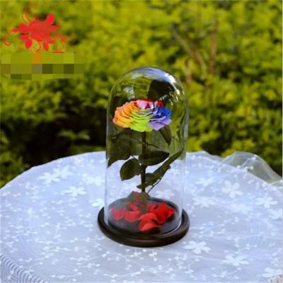 China Beautiful Rose Flowers Everlasting Rose Preserved Flower Eternal Rose in Glass for sale