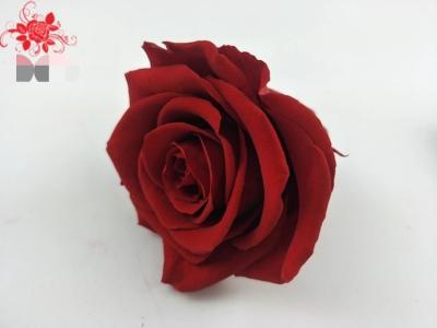 China Japanese preserved red rose flowers for wedding flower stands Natural Fresh flower rose for sale