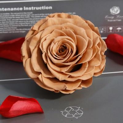 China Wholesale Preserved Fresh Dried Flowers Dark Blue Roses for Arrangement for sale