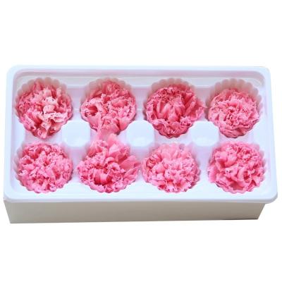 China Factory Price Preserved Flowers Real Preserved Carnation For Mother for sale