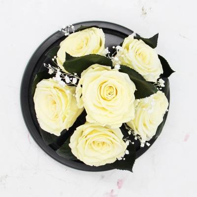 China Real Preserved Rose in Glass Dome  use for Office gift or Home Decoration for sale