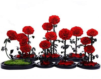 China Preserved Everlasting Real Rose Flower in Glass Dome  Preserved Flowers  Christmas gift for sale