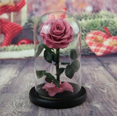China Wholesale Price beauty and the beast roses preserved roses in glass dome for sale