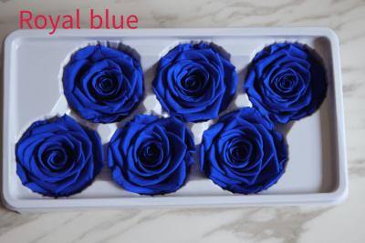 China beautiful preserved rose flower A grade stabilized rose preserved long lasting eternal rose 4-5cm for sale