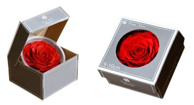 China China factory Real Preserved Rose in Gift Box for Decoration Gift Preserved Flowers in Box for sale