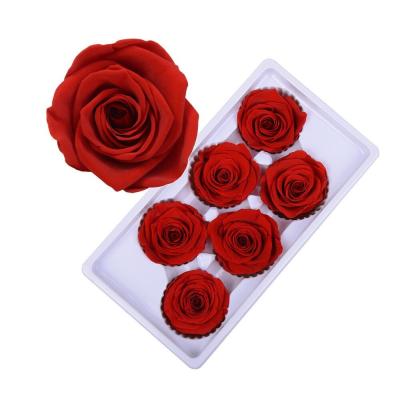 China Hot selling preserved rose head with fresh rose smell everlasting rose Forever Roses Christmas gift rose for sale