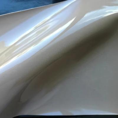 China Thermo Plastic Adhesive TPU Hot Melt Film Textile Leather for sale
