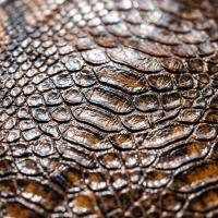 China Crocodile Embossed Leather in Stock Croco Pattern Synthetic Leather Multiple Colors Fast Shipping Small Order Accepted for sale
