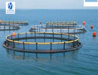 China Aquaculture Cage Hexagonal Wire Mesh Pet Polyester Lightweight Rustproof for sale