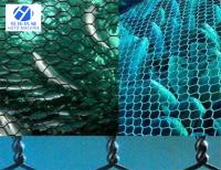 China Anticorrosive Hexagonal Chicken Wire Mesh for sale