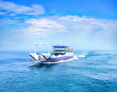 China International Sea Freight Forwarding DDP From China To USA / UK for sale